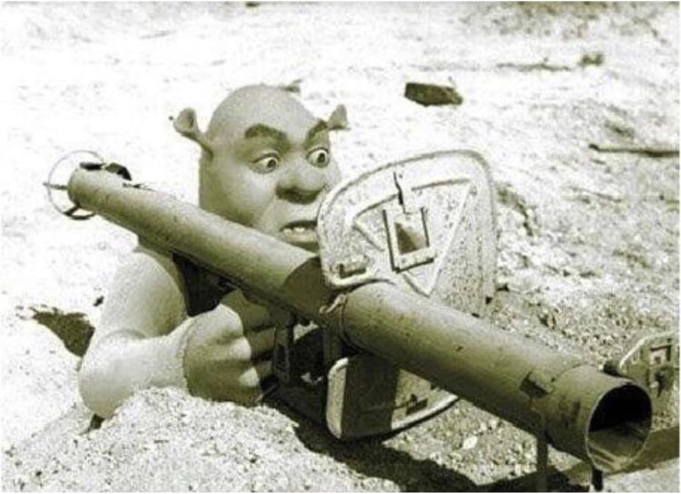 21 Cursed Images Of Shrek We Wish We Could Unsee