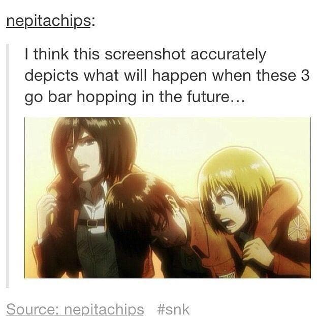 30 Random 'Attack On Titan' Memes We Laughed Way Too Hard At