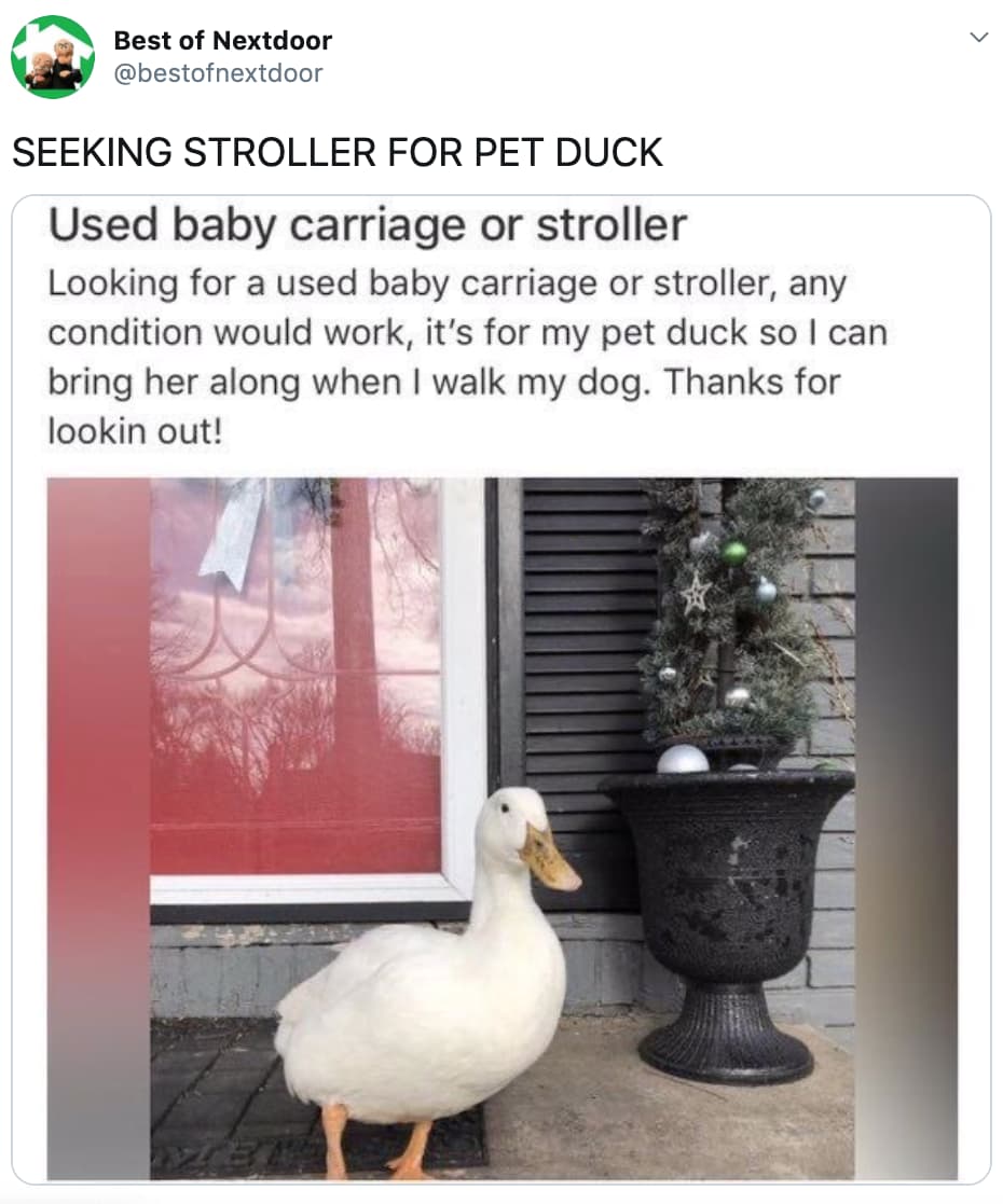 33 Funny "Best Of Nextdoor" Posts That Prove Our Neighbors Have Lost ...