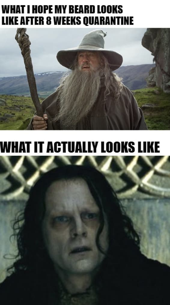 The 24 Funniest 'Lord of the Rings' Memes About Coronavirus