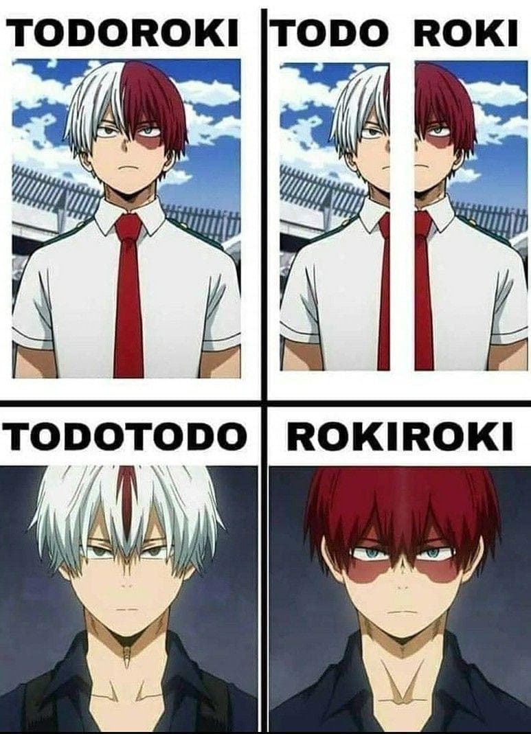 25 Hilarious Todoroki Memes That Are Plus Ultra Funny