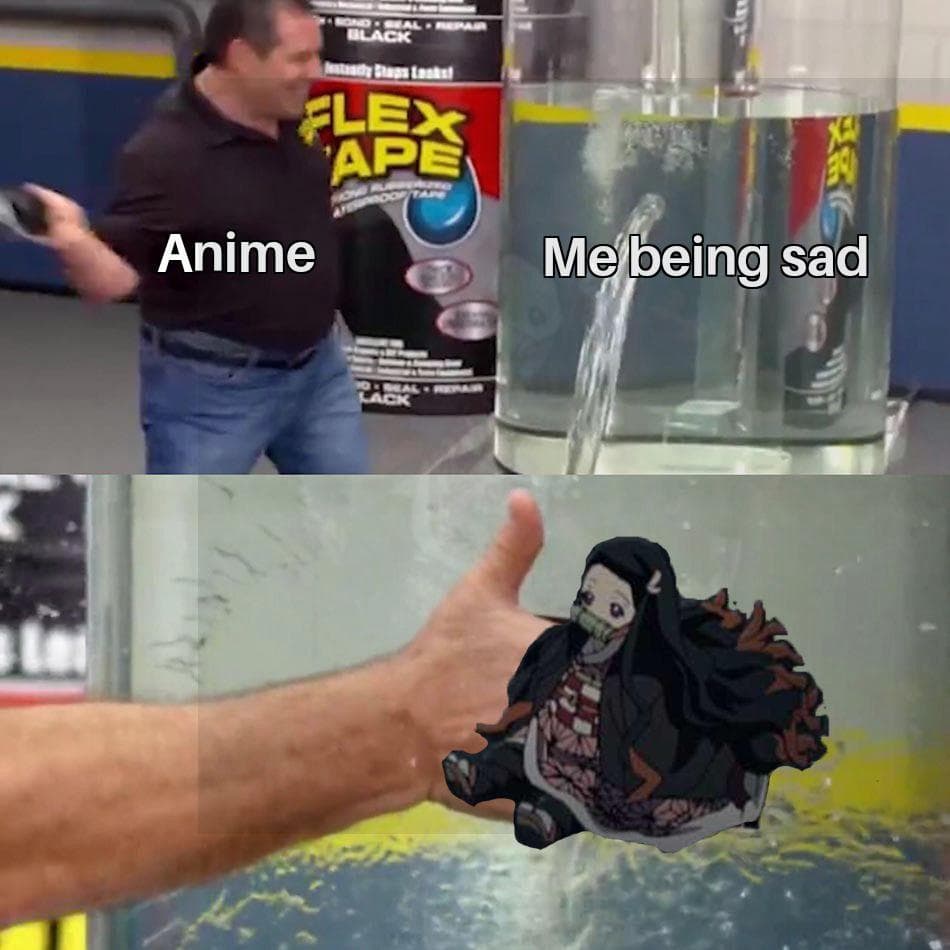 18 Hilarious Nezuko Memes That Prove She Must Be Protected At All Costs