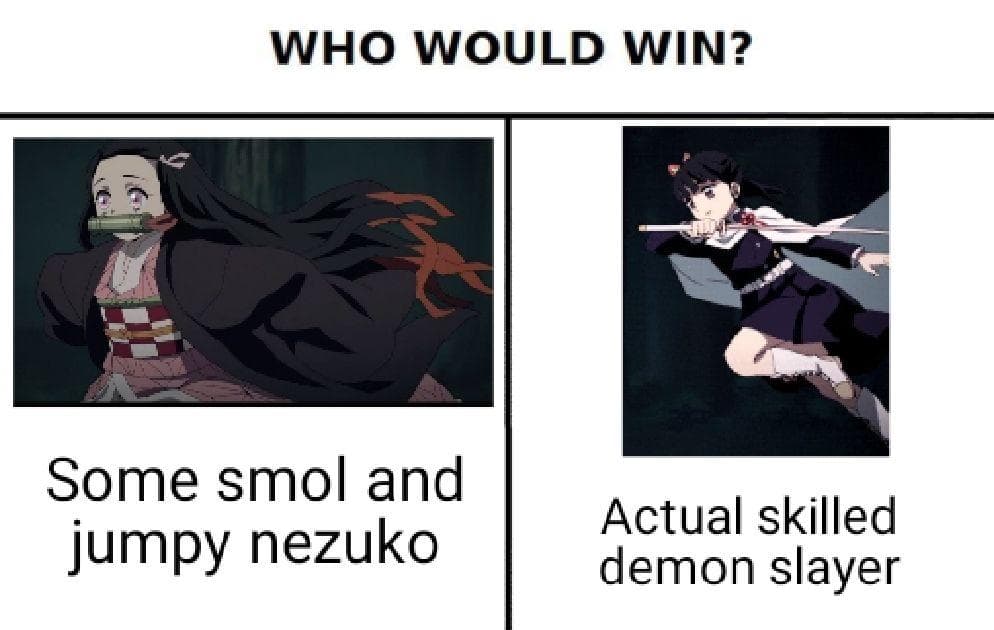 18 Hilarious Nezuko Memes That Prove She Must Be Protected At All Costs