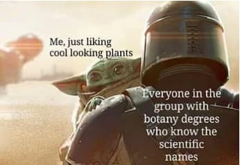 Funny Memes For That Person In Our Lives Who Is Way Too Obsessed With ...