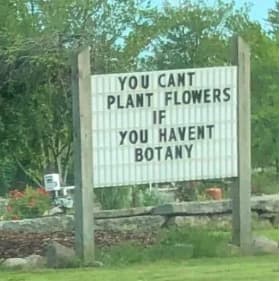 Funny Memes For That Person In Our Lives Who Is Way Too Obsessed With ...