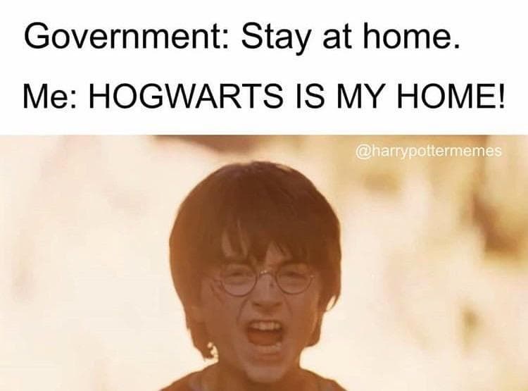 18 Harry Potter Memes That Imagine Hogwarts Under Quarantine