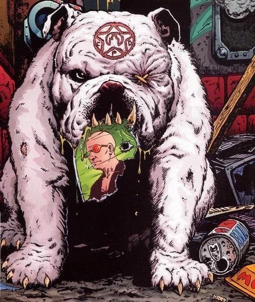 The Best Super Dogs In Comics