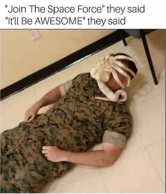 24 Memes About The 'Alien' Franchise That Had Laughter Bursting Out Of ...