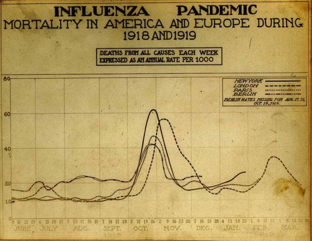 What Happened In The Immediate Aftermath Of The Spanish Flu?