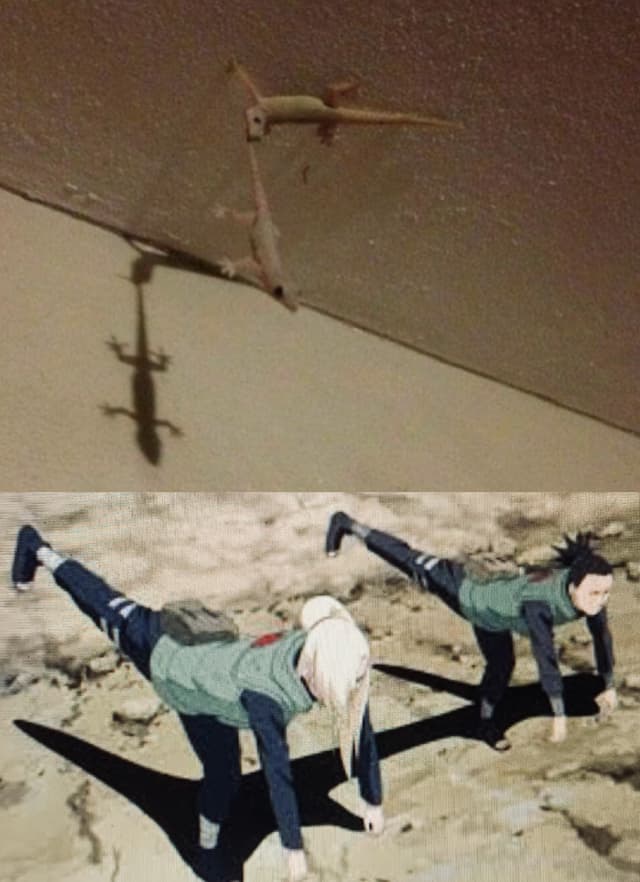 26 Hilarious Shikamaru Memes That Prove Laziness Is A Virtue