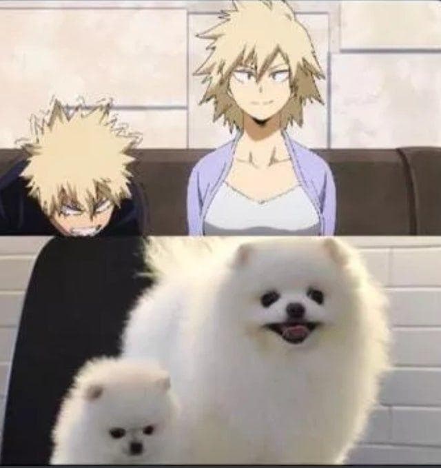 30 Hilarious Bakugo Memes That Made Us Explode With Laughter