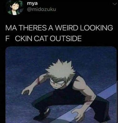 30 Hilarious Bakugo Memes That Made Us Explode With Laughter