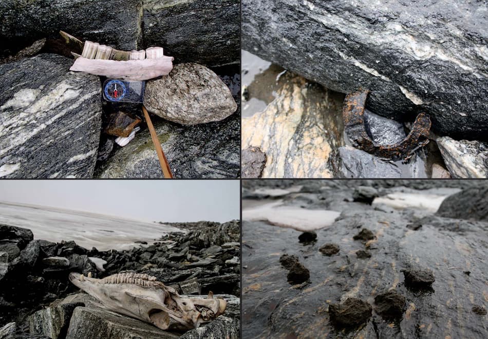 New Viking Discoveries: Everything We've Learned About Vikings Since 2000