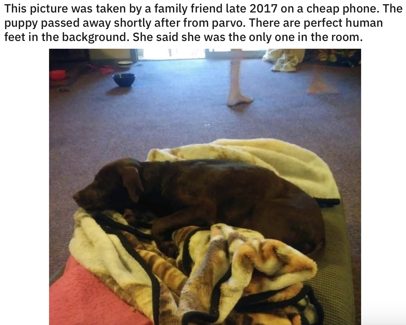 25 Ghost Photobombs That Make Us Say 'AH!'