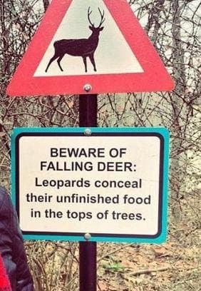 Scary Signs That We Definitely Don't Want To See In Real Life