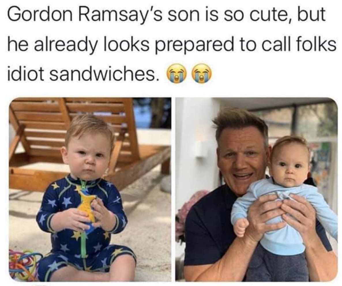 23 Funniest Gordon Ramsay Memes