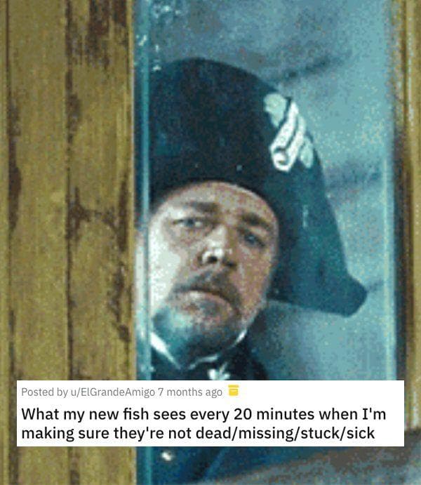 Aquarium Owners Are Making Memes, And It's Actually Kinda Hilarious