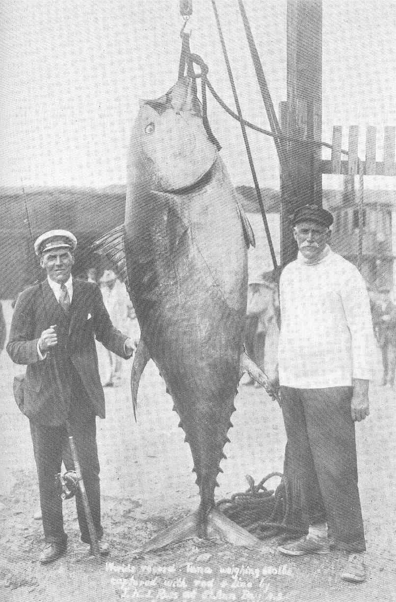 20+ Fascinating Photos Of Historical Fishermen With Their Big Catches