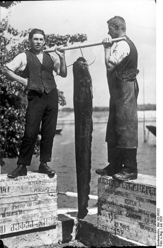 20+ Fascinating Photos Of Historical Fishermen With Their Big Catches