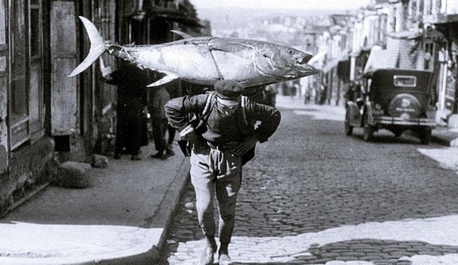 20+ Fascinating Photos Of Historical Fishermen With Their Big Catches