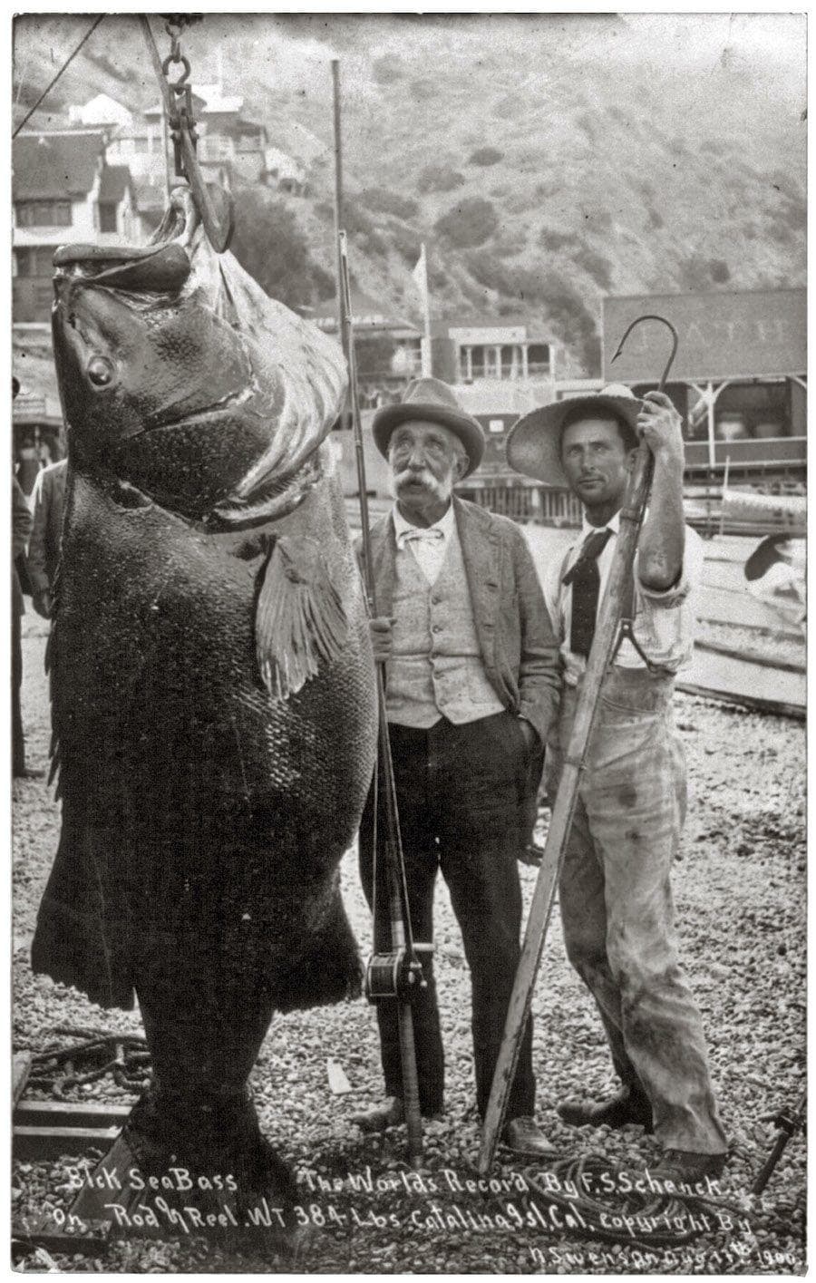 20+ Fascinating Photos Of Historical Fishermen With Their Big Catches