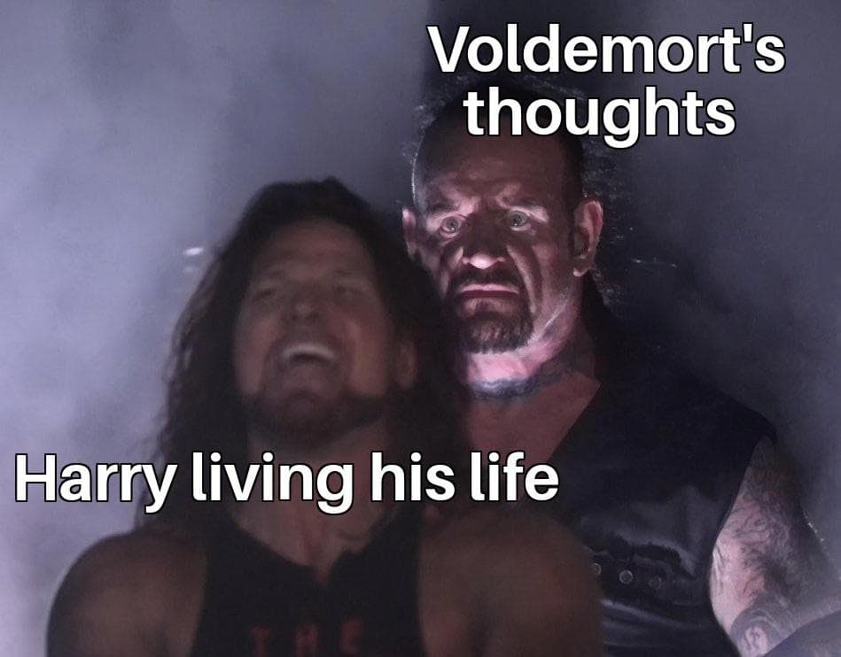 22 Memes That Have Us Calling Voldemort "He Who Should Not Be Respected"