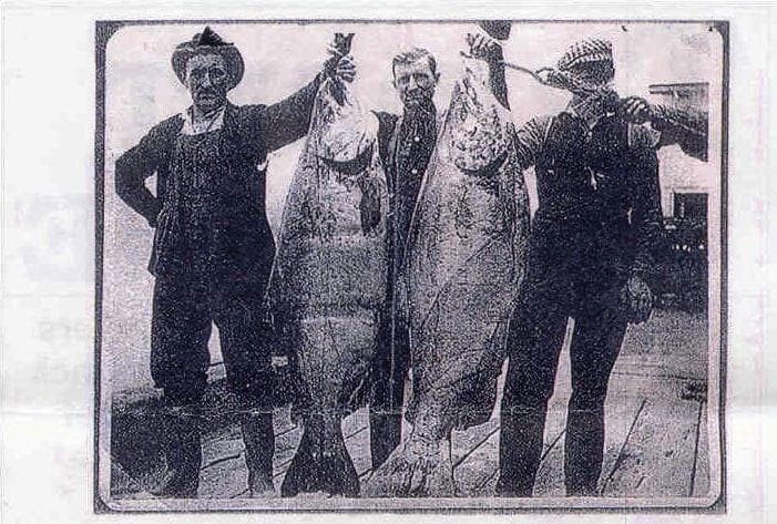 20+ Fascinating Photos Of Historical Fishermen With Their Big Catches