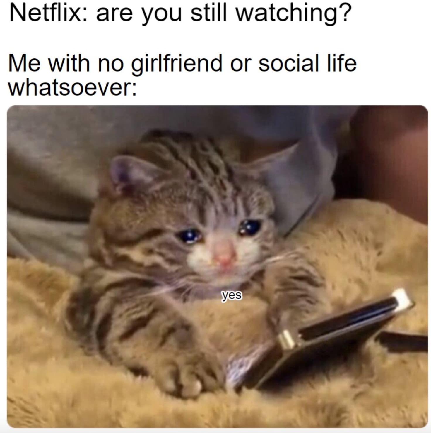23 Hilarious When Netflix Asks If You're Still Watching Memes