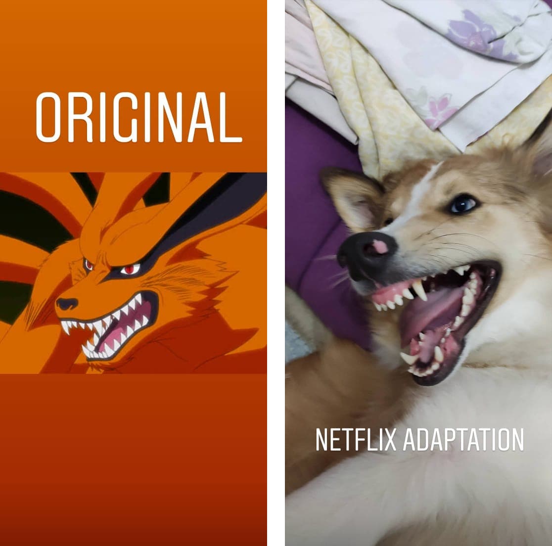 21 Hilarious Kurama Memes That Prove He's The Best Tailed Beast