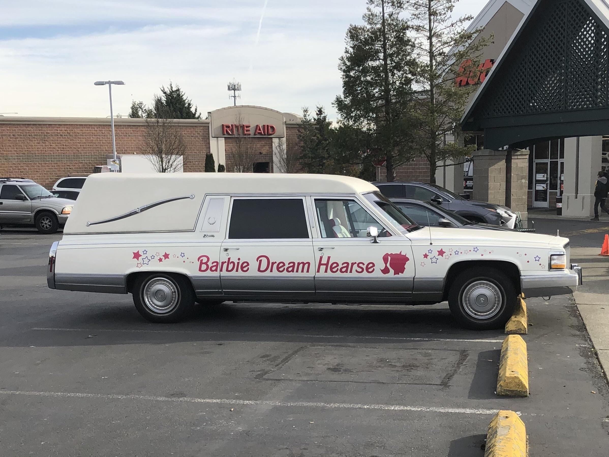 17 Hearses From History That Are The Epitome Of Old-School Cool