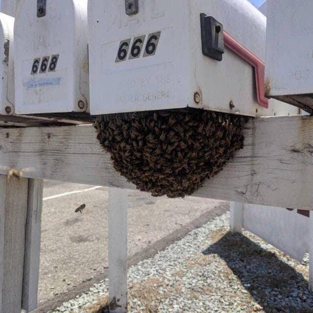 25 Unsettling Images That Are Way Too Uncomfortable To Look At