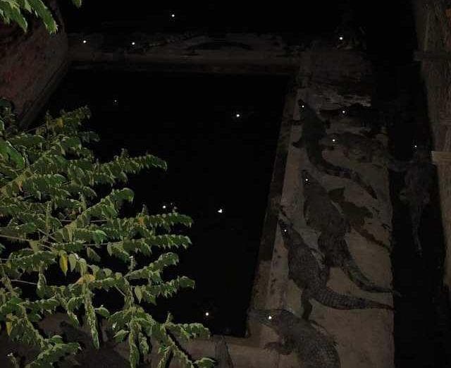 25 Unsettling Images That Are Way Too Uncomfortable To Look At