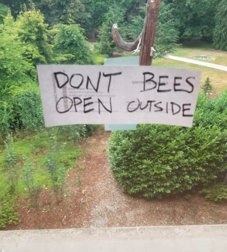 32 Hilarious Sign Fails That Made Their Messages Meaningless