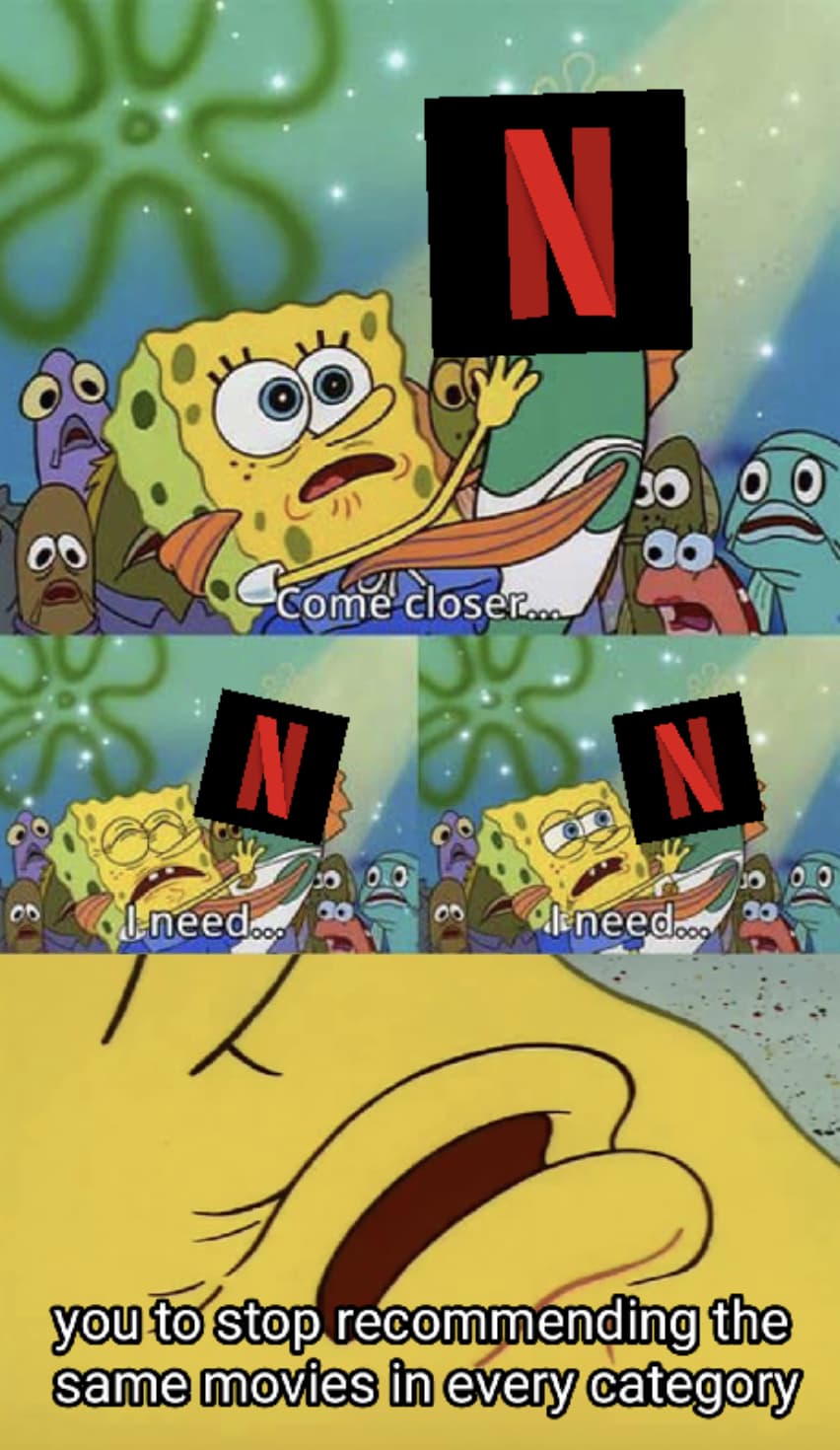 23 Hilarious When Netflix Asks If You're Still Watching Memes