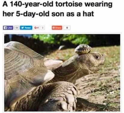 Funny Memes That Are So Pure And Optimistic We Almost Can't Handle It
