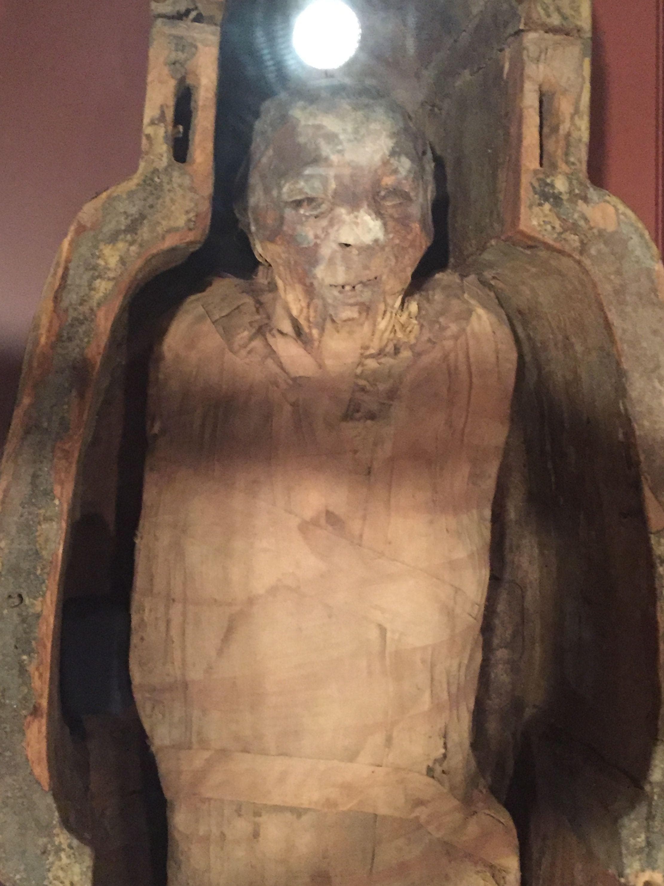 Random Pictures Of Mummies That Made Us Say 'Whoa' | Best Random Tools