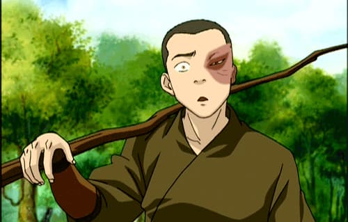 The Best Prince Zuko Quotes, Ranked By Fans