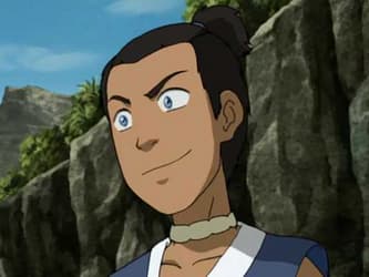 The Best Sokka Quotes, Ranked By Fans