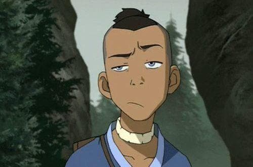 The Best Sokka Quotes, Ranked By Fans