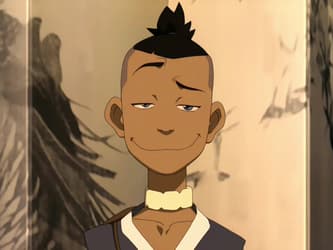 The Best Sokka Quotes, Ranked By Fans
