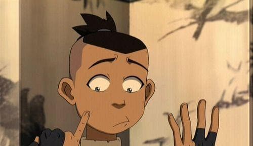The Best Sokka Quotes, Ranked By Fans
