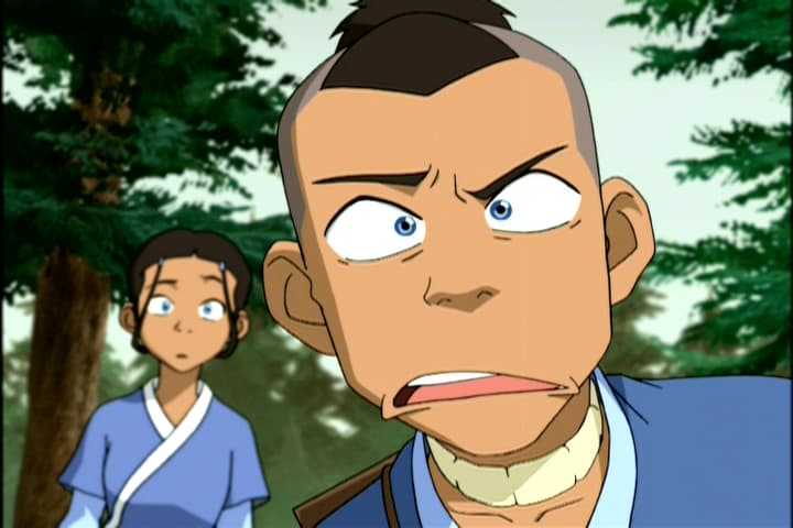 The Best Sokka Quotes, Ranked By Fans