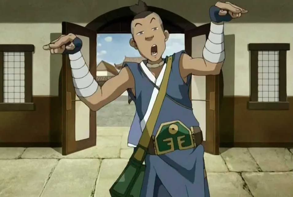 The Best Sokka Quotes, Ranked By Fans