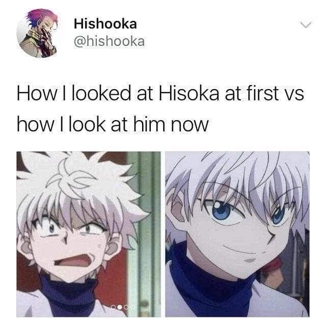 30 Hilarious Hunter x Hunter Memes We Laughed Way Too Hard At
