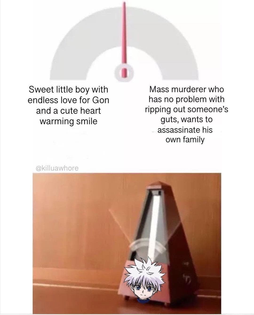 30 Hilarious Hunter x Hunter Memes We Laughed Way Too Hard At