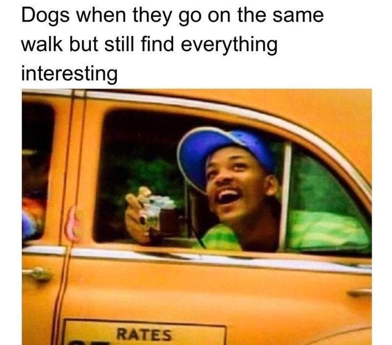 22 Fresh Prince Memes That Are West Philadelphia, Born And Raised
