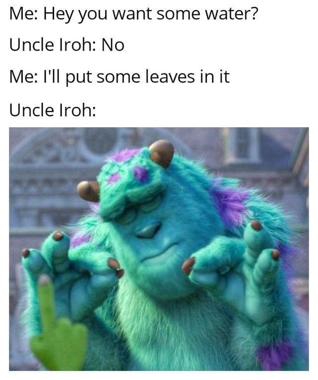 38 Uncle Iroh Memes That Prove He's Undoubtedly The Most Lovable ...