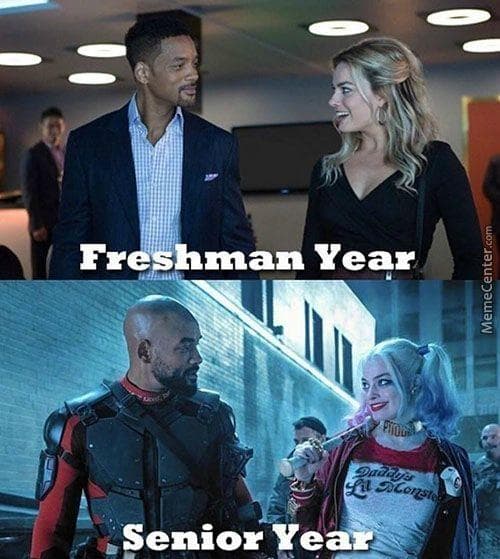 25 Harley Quinn Memes That Prove She's DC's Most Underrated Antihero