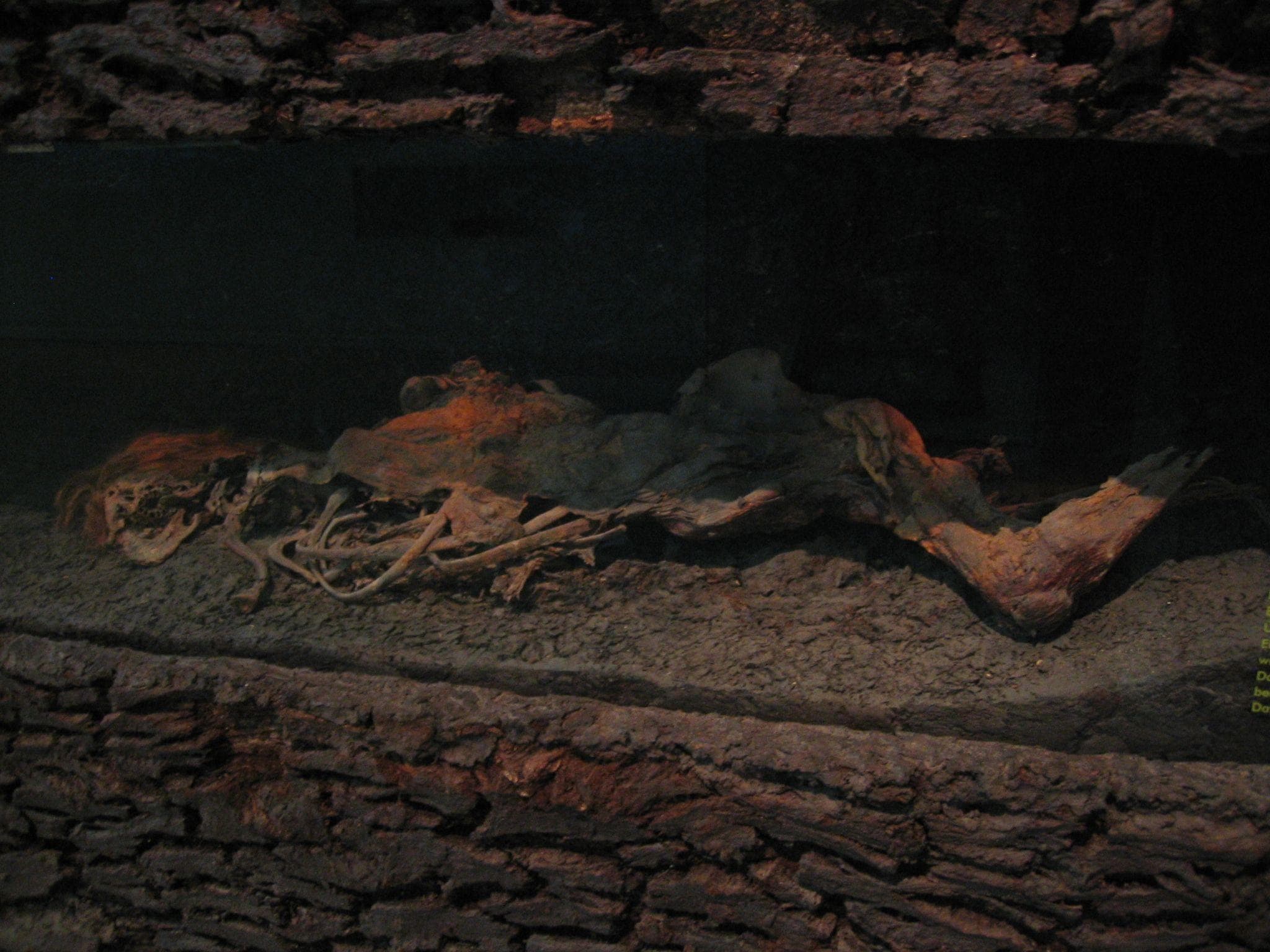 18 Pictures Of Bog Bodies That Made Us Say 'Whoa'