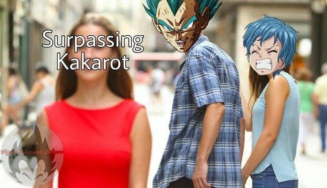 20 Hilarious Memes About Goku And Vegeta's Relationship